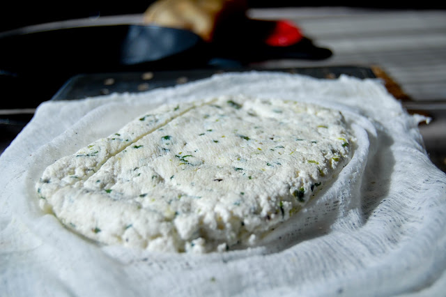 Zen Kitchn: Step by Step Guide to Paneer