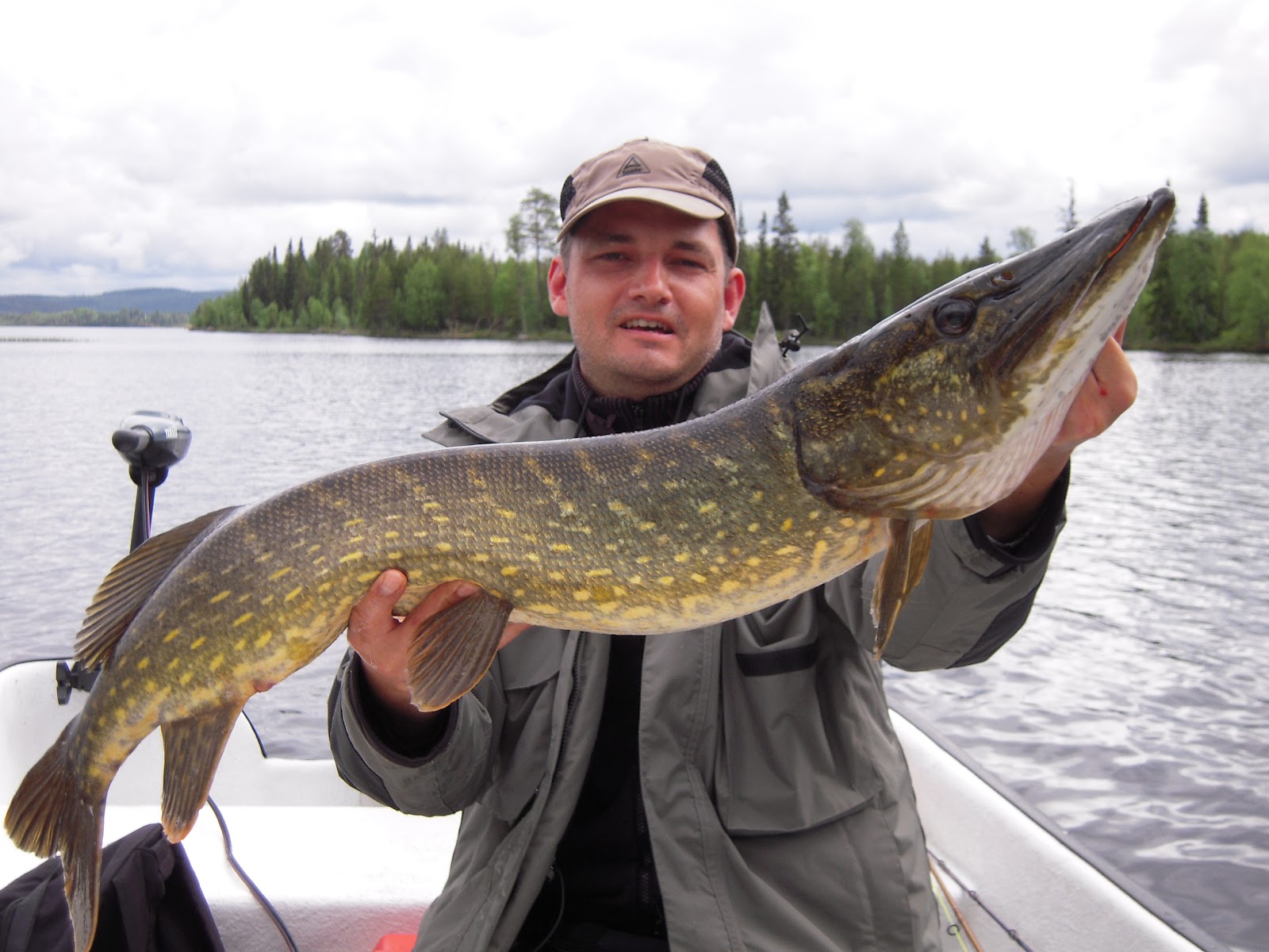 FISHING IN SWEDEN - LAPPLAND PRO NATUR - GAFSELE: Big pike for big anglers.