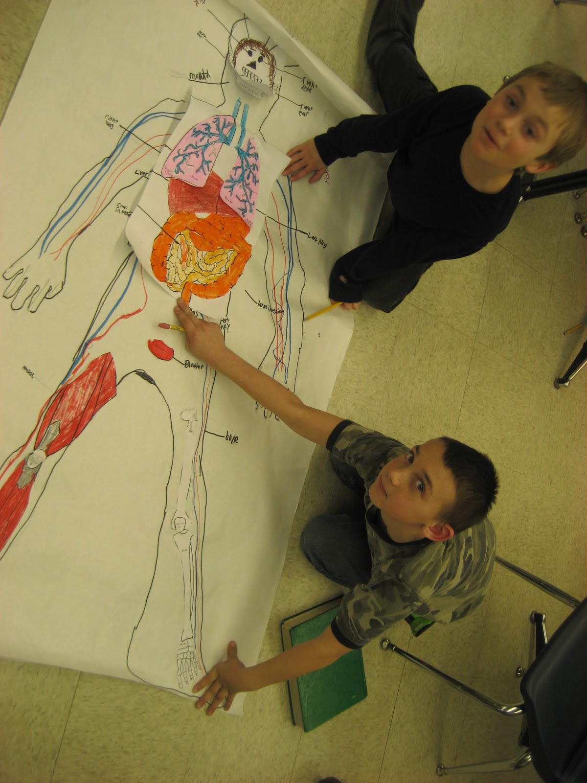 Learning Adventures in the Big Third Grade: Human Body Projects