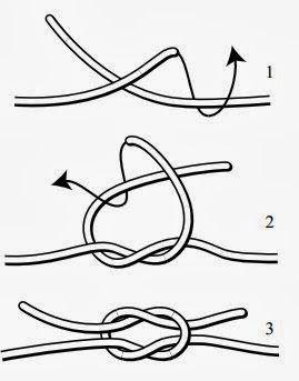 Some Basic Important Knots