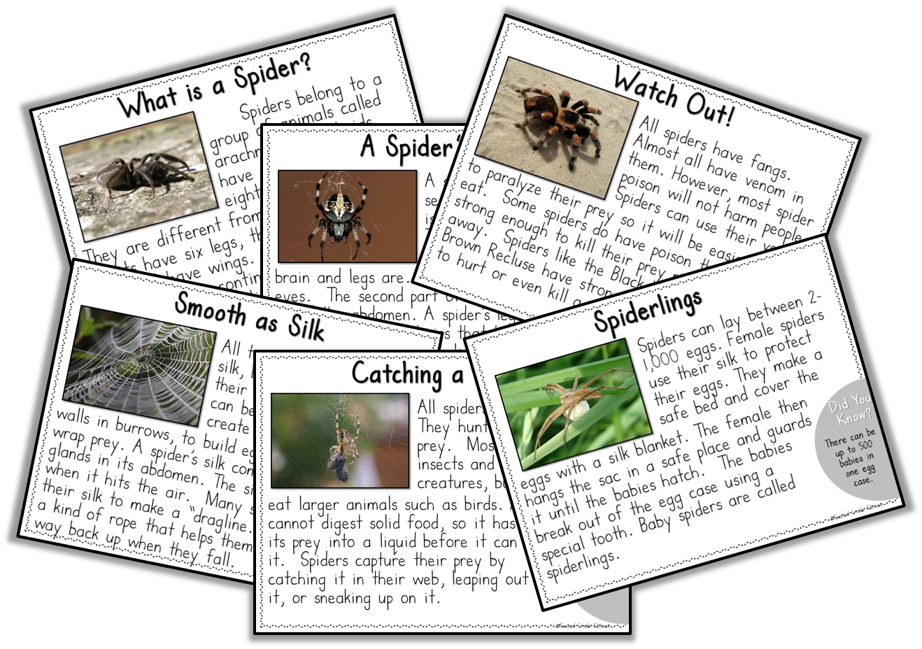 Cue the spiders! - Second Grade Stories