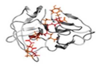 Enzim Protease (Biokimia Perikanan) - Melek Perikanan