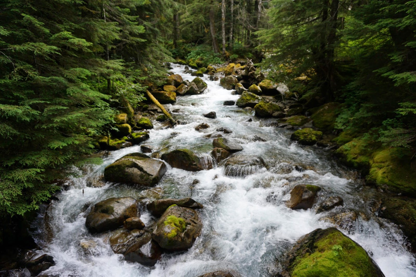 Don't Rock This Boat: Copper Ridge/Chilliwack River Trail, North ...