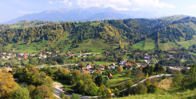 lectii de geografie: 2021