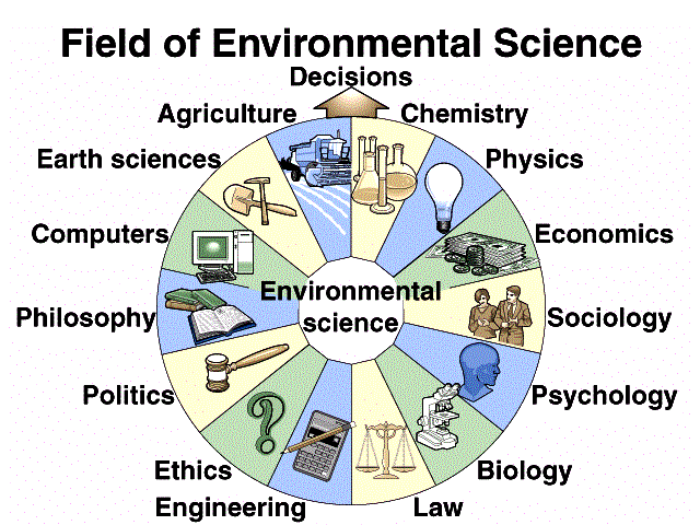 विज्ञान की प्रमुख शाखाएँ एवं अध्ययन–विषय : Various Study of subjects in ...