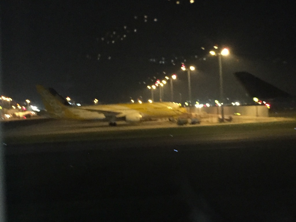 Leisure Blogger: Singapore Airlines Flight Report-SQ 528