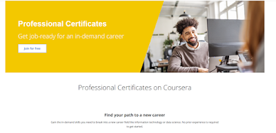 20 Best Coursera Professional Certificates for IT Professionals in 2024 ...