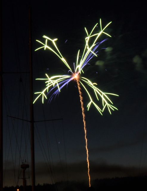 Orca Watcher: Nights and Nighthawk