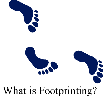 FootPrinting ~ Materi Kuliah Sistem Komputer & Sistem Informasi