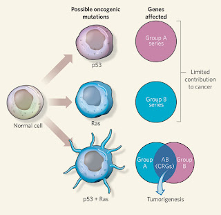 Multiple mutations in cancer: Multiple mutations in cancer