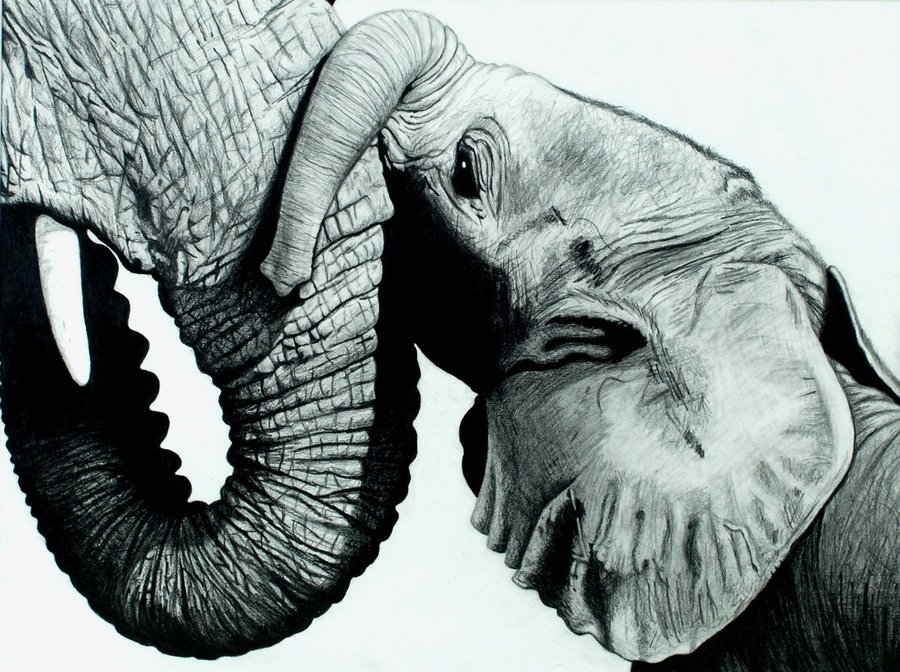 e is for elephants: Elephart (Elephant art)