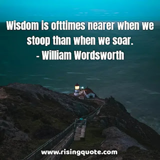 100 Best Wise Quotes | Short Wise Sayings (2021)