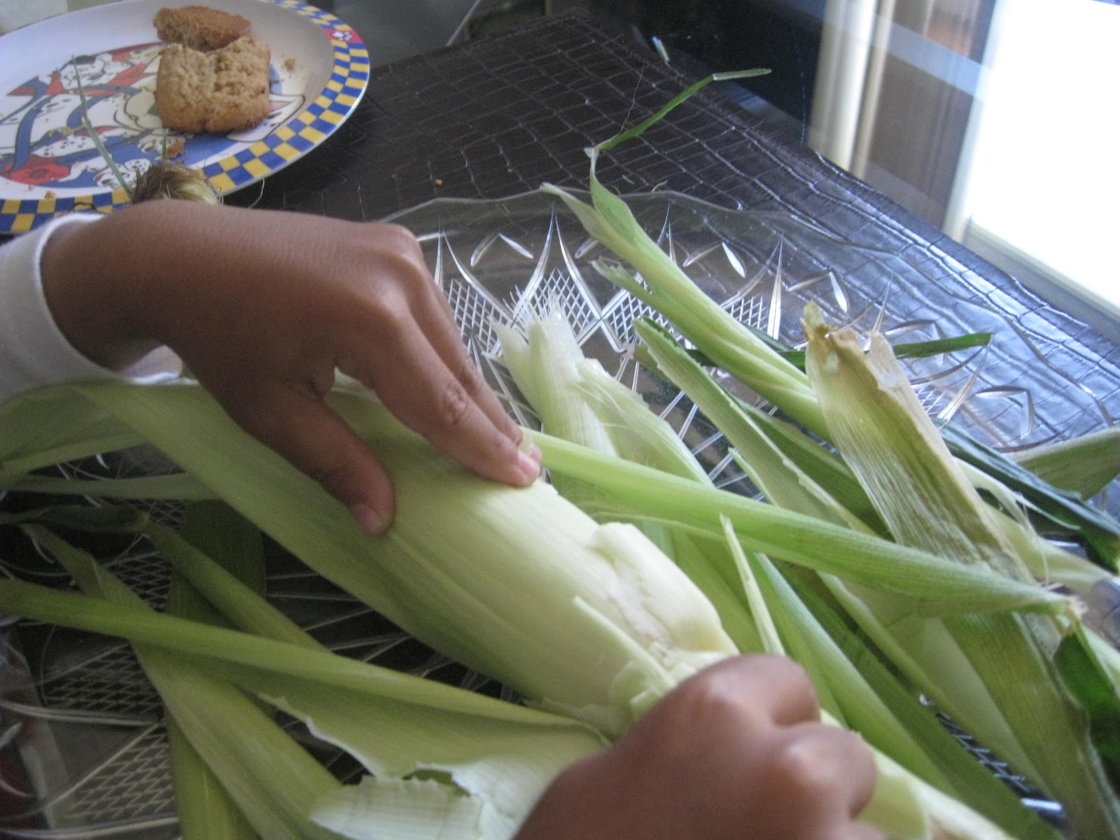 PRACTICAL LIFE ACTIVITY IDEA: Peeling the corn
