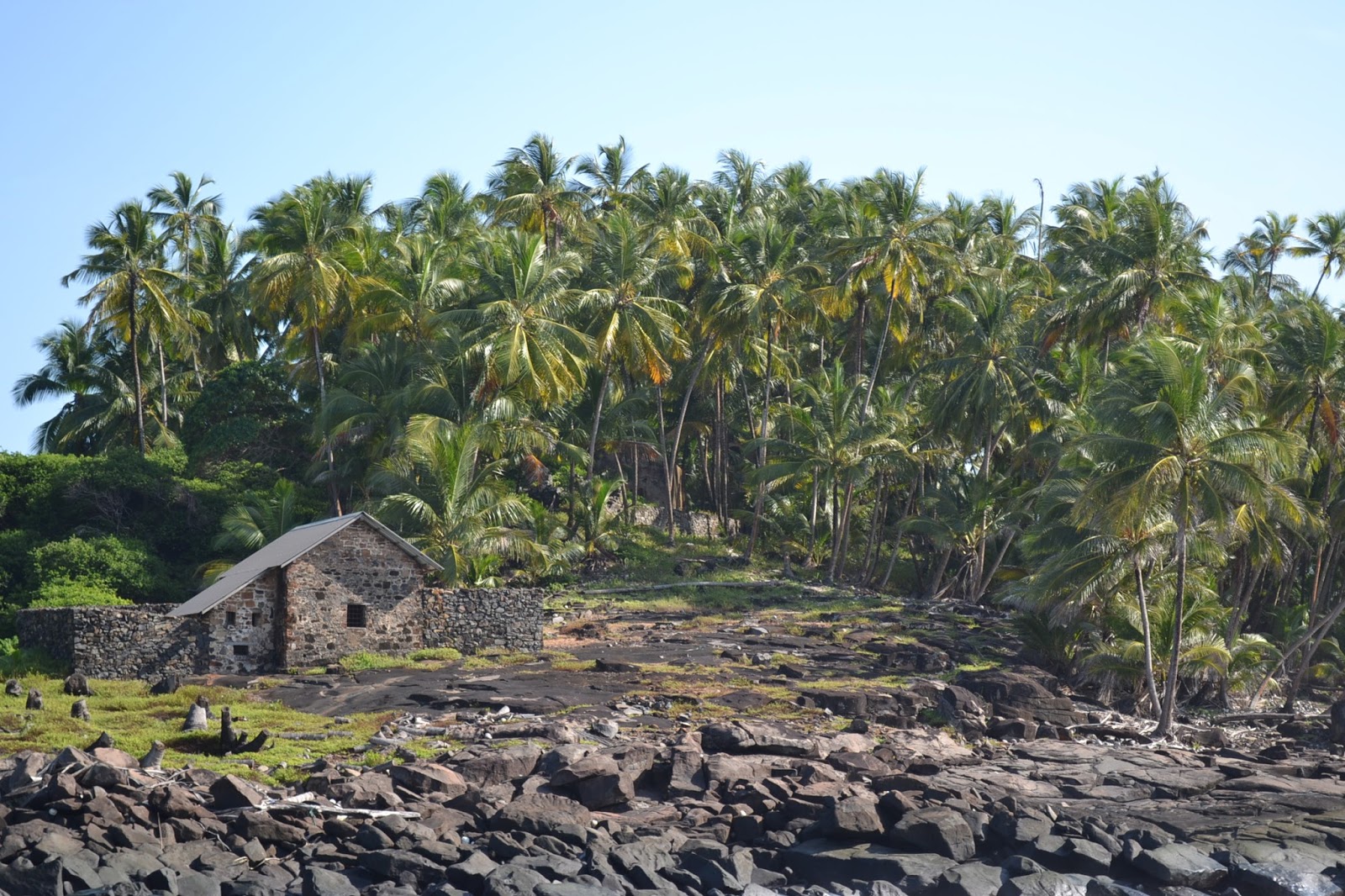 A LA DECOUVERTE DU PARADIS VERT: ILE DU DIABLE