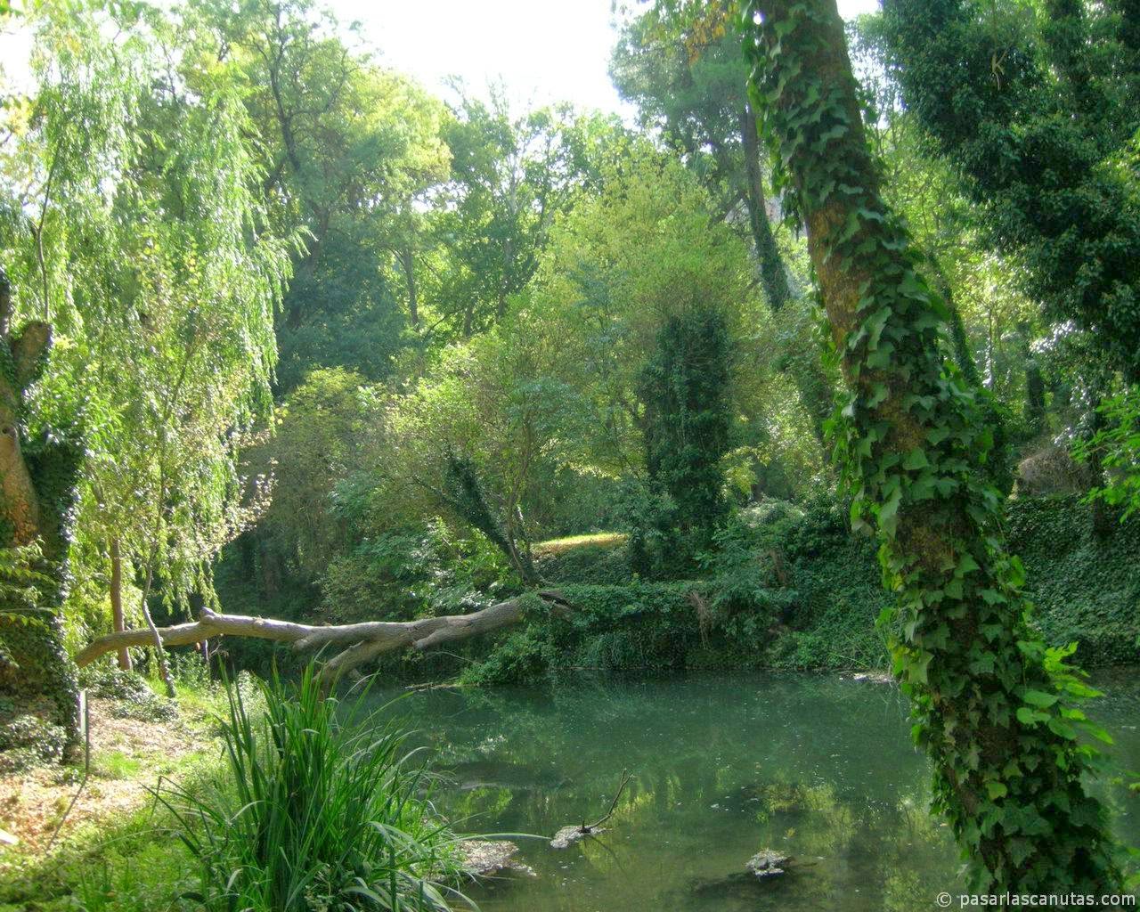 paisajes exoticos: paisajes selváticos