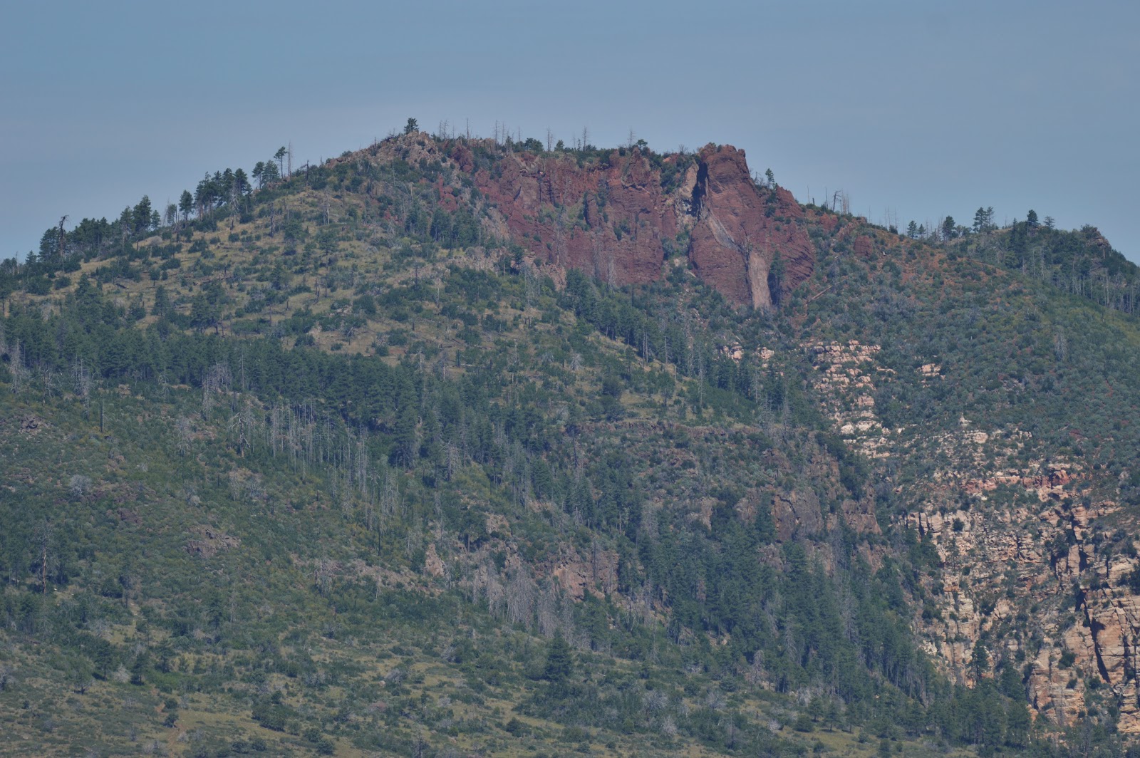 Mark Thomas - Geology: FAULTS OF THE SAN FRANCISCO VOLCANIC FIELD