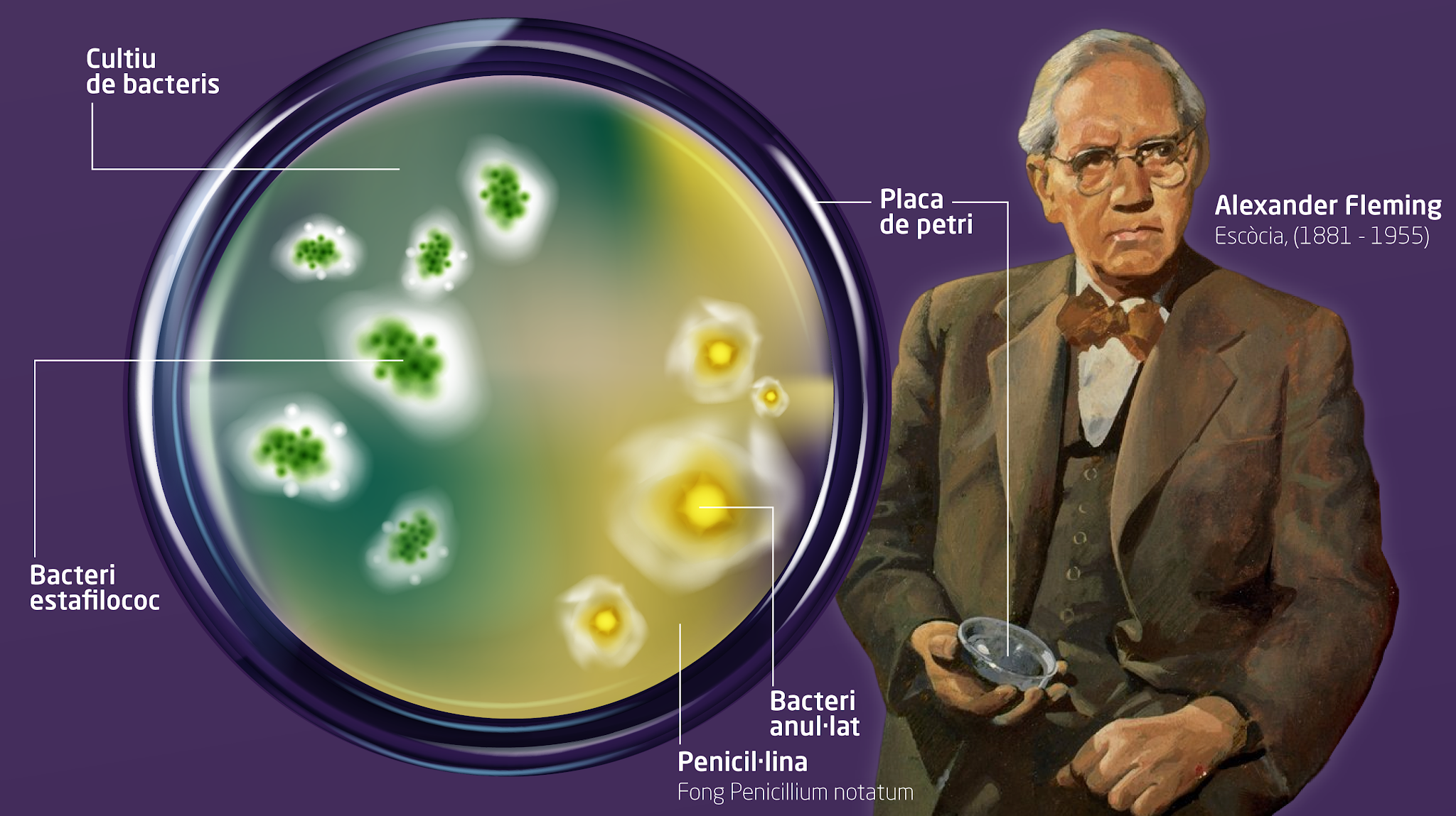 ALEXANDER FLEMING