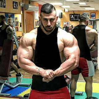 world bodybuilders pictures: italiano bodybuilder Andrea Muzi