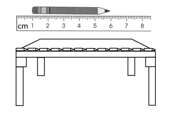 Science Year 4: Activity 1