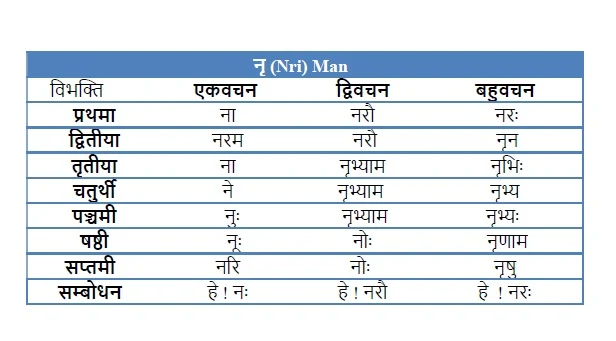 Nri shabd roop in Sanskrit