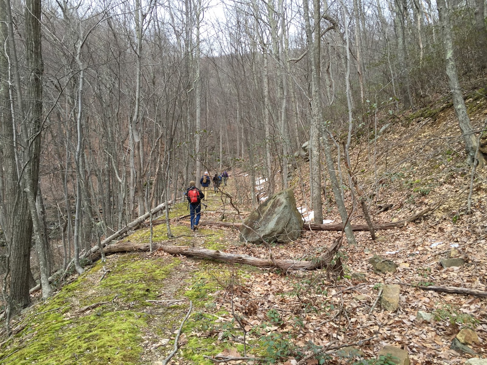 Wandering Virginia: A Primer for Bushwacking in Shenandoah National Park