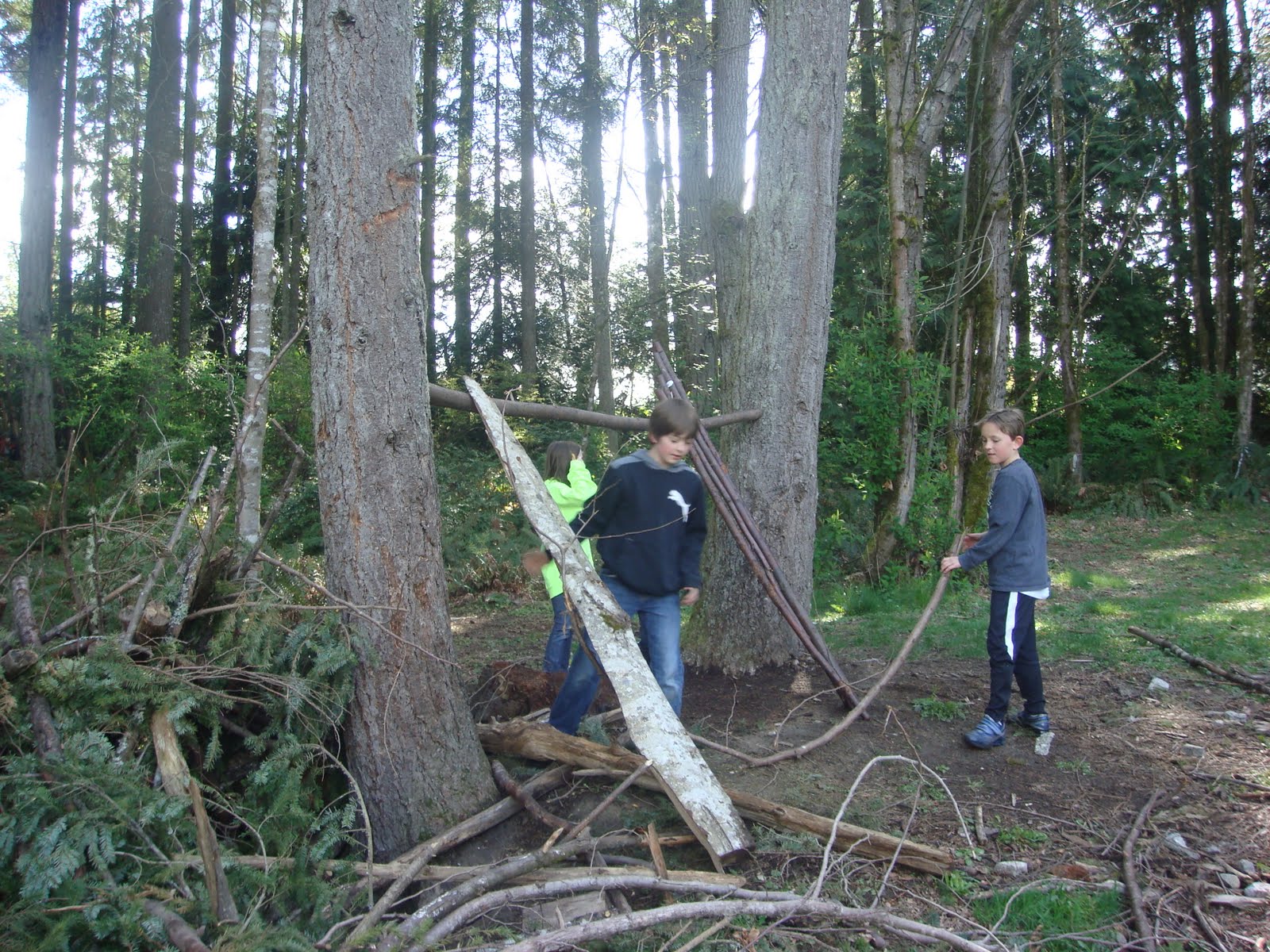 Silverwood Tree House