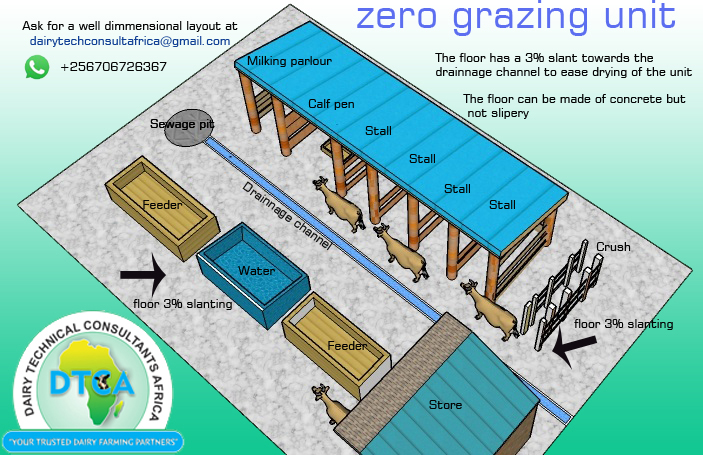 Dairy structure housing (Zero grazing Unit) | DTCA
