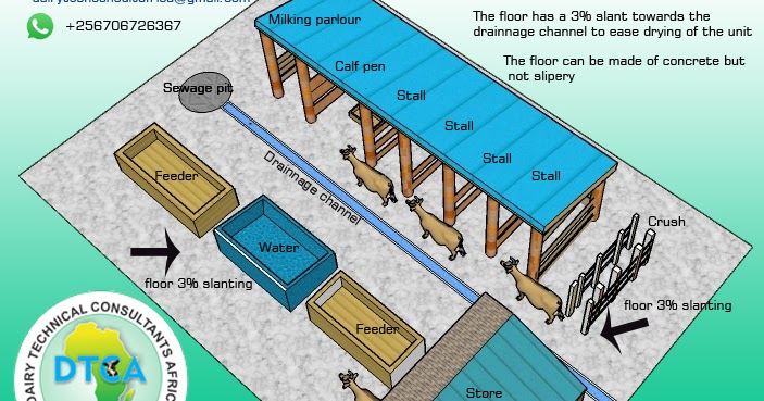 Dairy structure housing (Zero grazing Unit) | DTCA