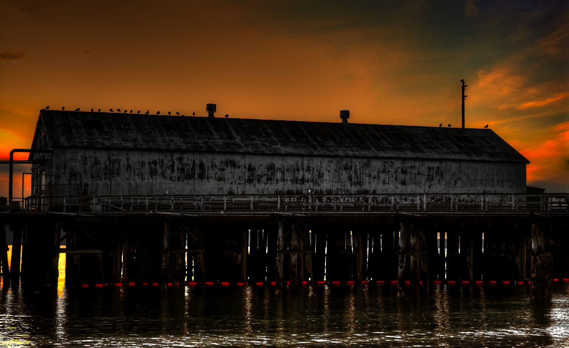 Shoreline Area News: Photo: Point Wells at Sunset by Finn Huffstetter