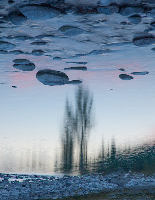 Suzanne Mathia Photography