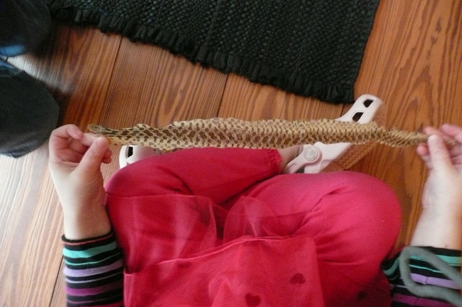 Montessori Teachings: Reptiles - a focus on snakes