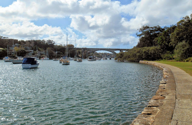 Lane Cove River | Our Walks
