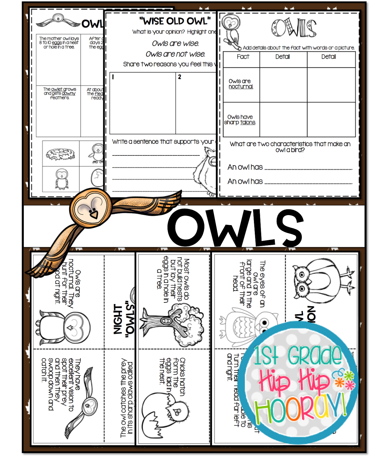 1st Grade Hip Hip Hooray!: Owls...Informational Text and Activities