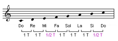 Las notas musicales 🎹