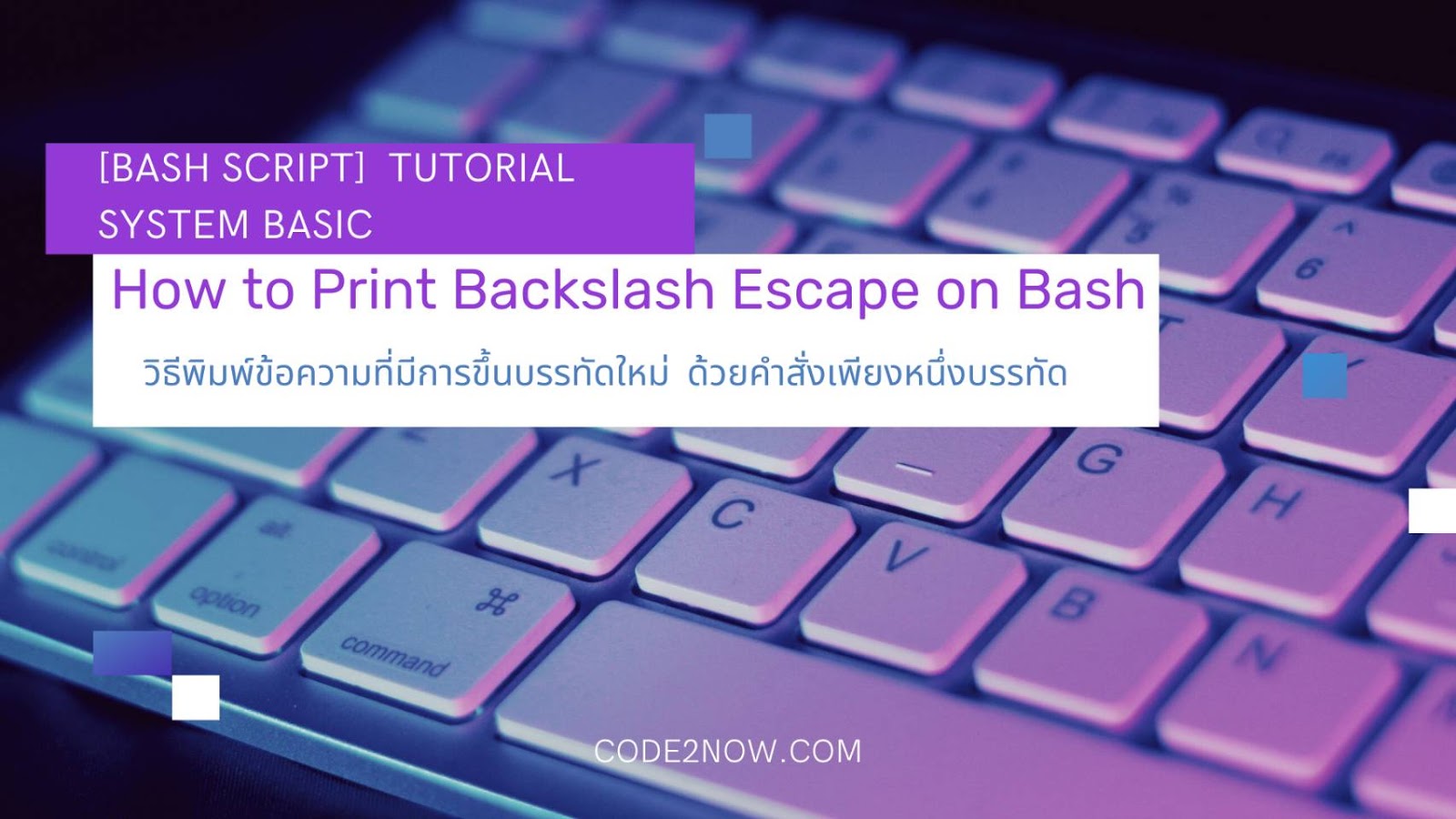 Code2now Bash Script วิธีการพิมพ์ข้อความที่มีการขึ้นบรรทัดใหม่หรือ Backslash Escape บน Bash