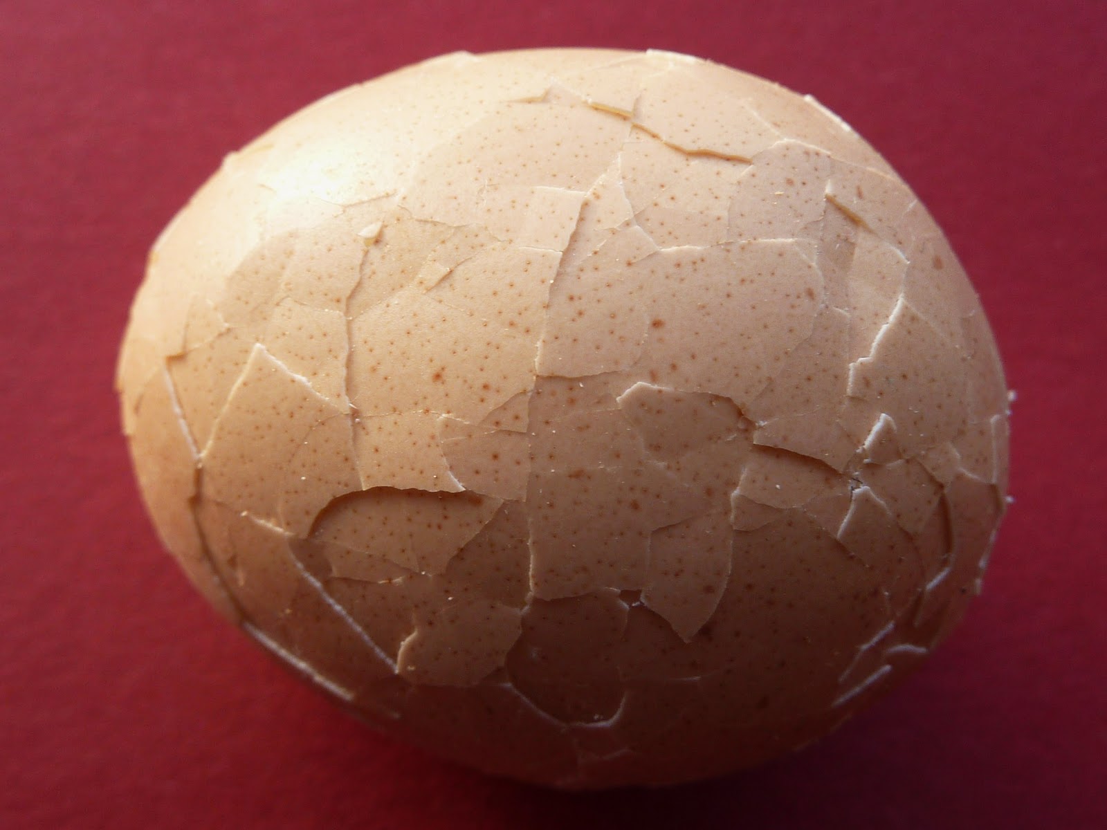 DE GULLE AARDE: gemarmerde eieren