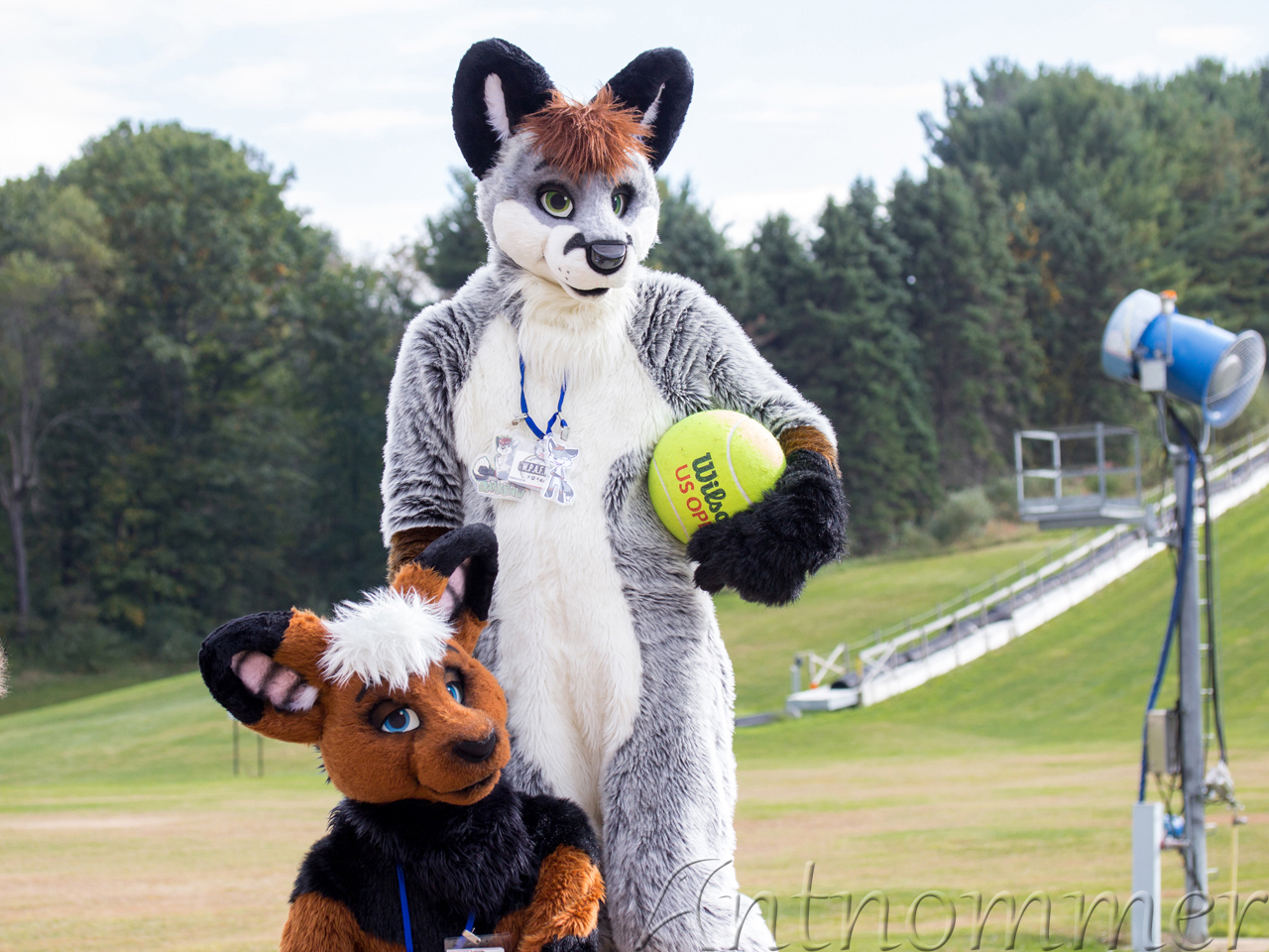 Just Anteater Things: Looking Back: Western Pennsylvania Furry Weekend