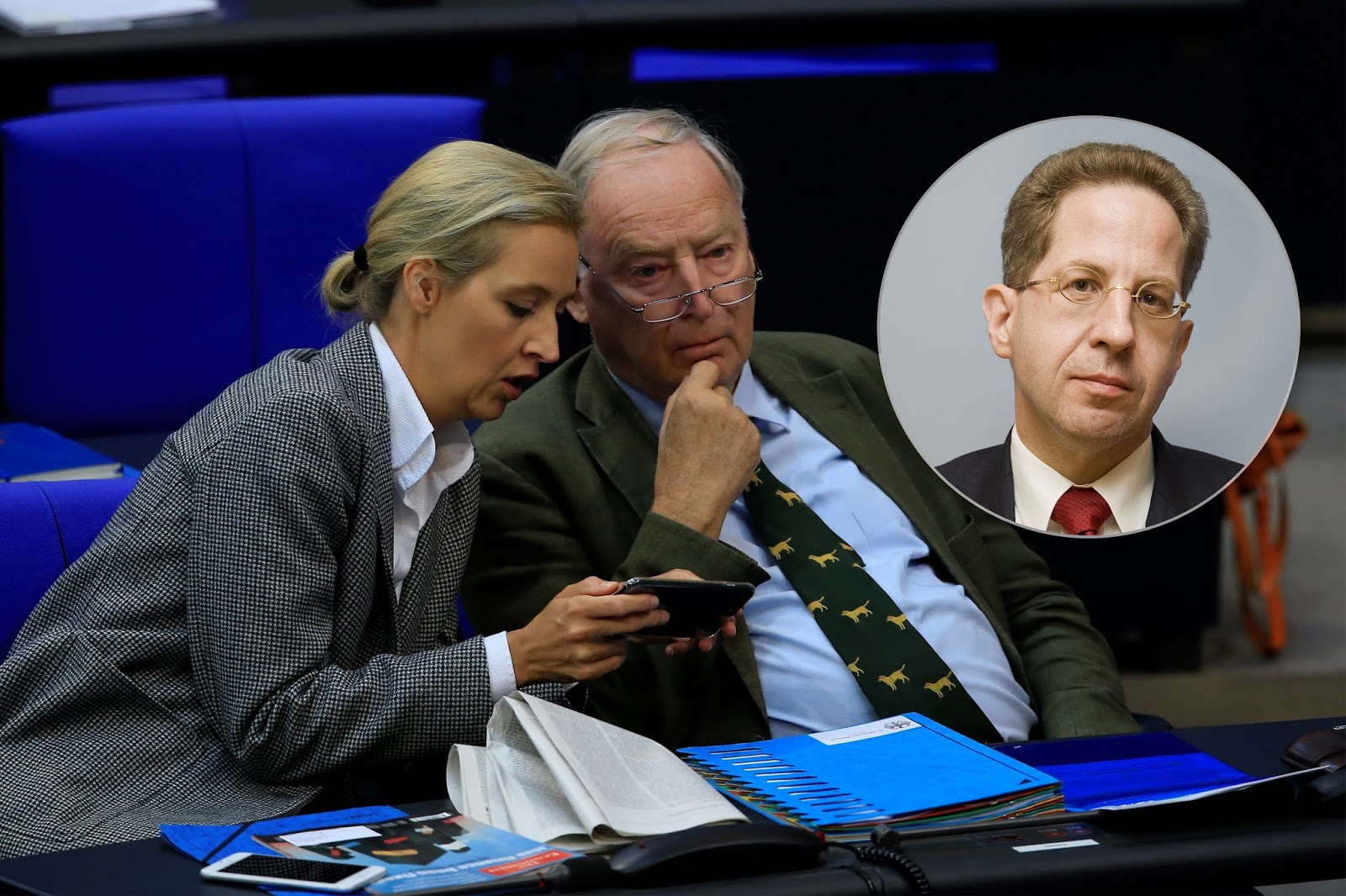 "Mist, unser V-Mann ist aufgeflogen!" - AfD zieht Maaßen vom ...
