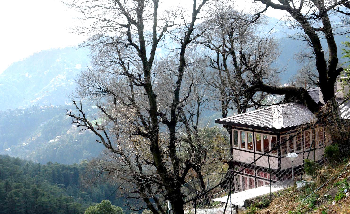 photographer: trip to simla