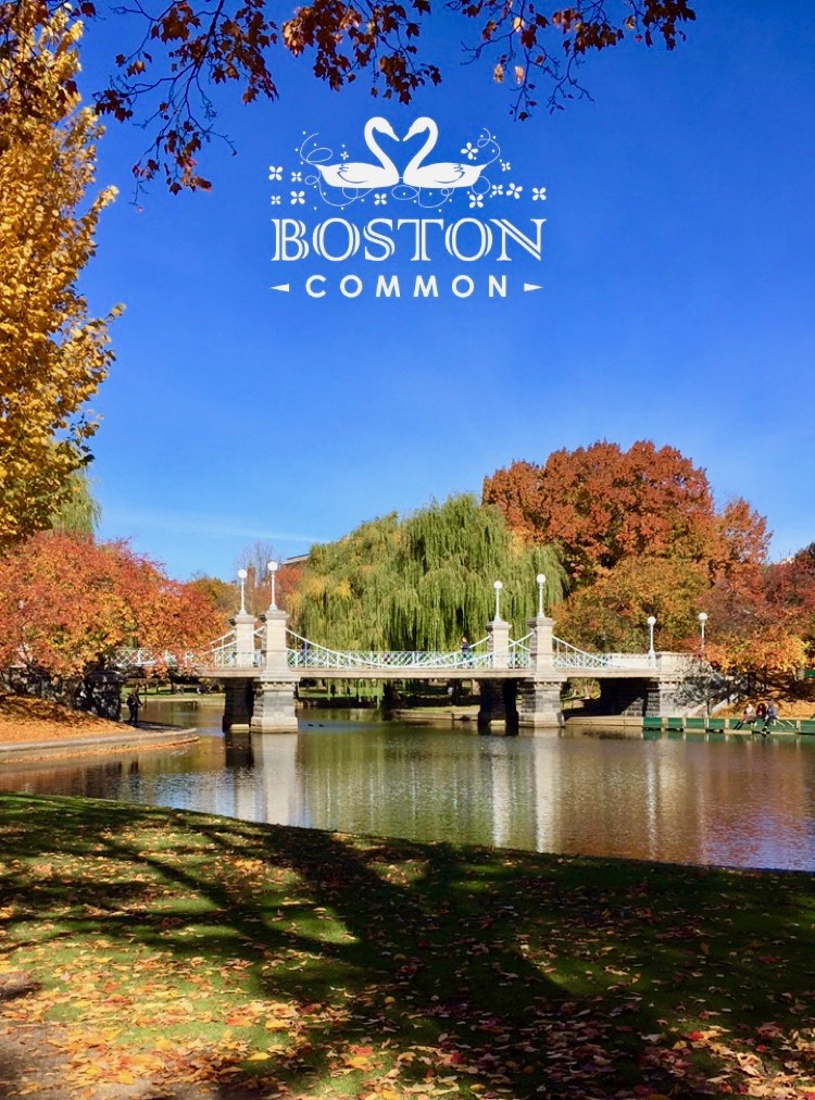 Full Court: Visitors!