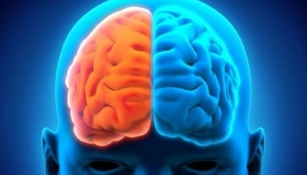 Cerebro Adolescente: Lateralización hemisférica en el procesamiento ...