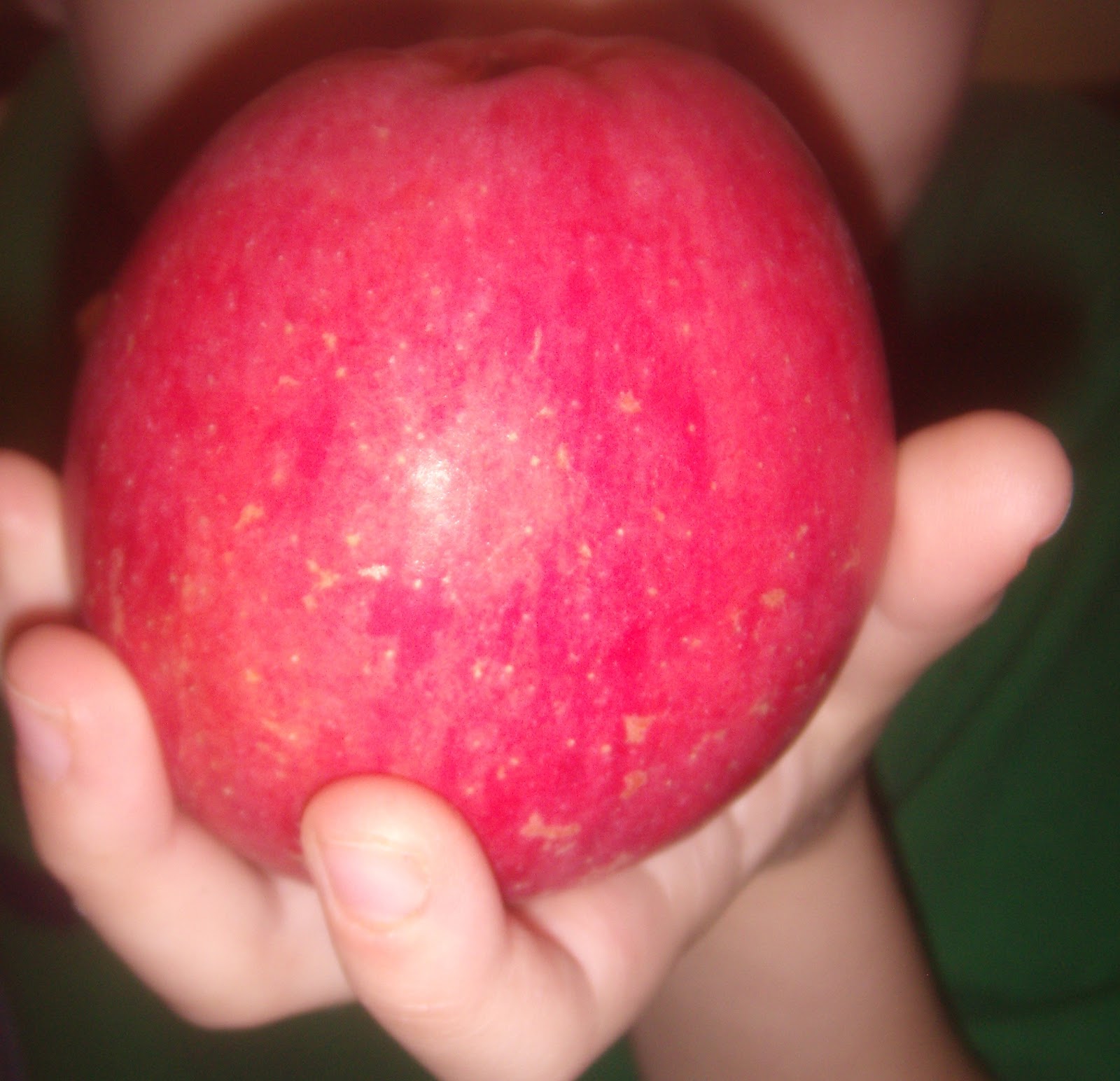 Mommie of 2: Grapple Fruit Review