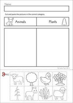 Papercraft recortable educativo para ordenar por animales y plantas | J ...
