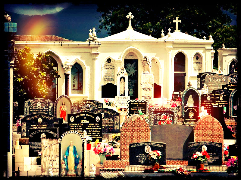 Thisness of a that: coal