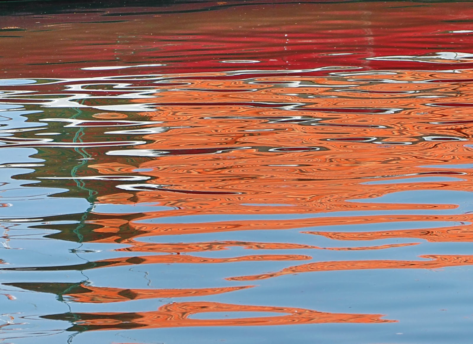 Aqua Reflections - Reflections and Nature