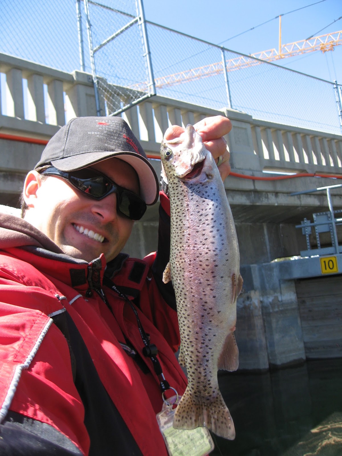 The Fishing Doctor's Adventures: Big Bear Lake Early April Rainbow ...
