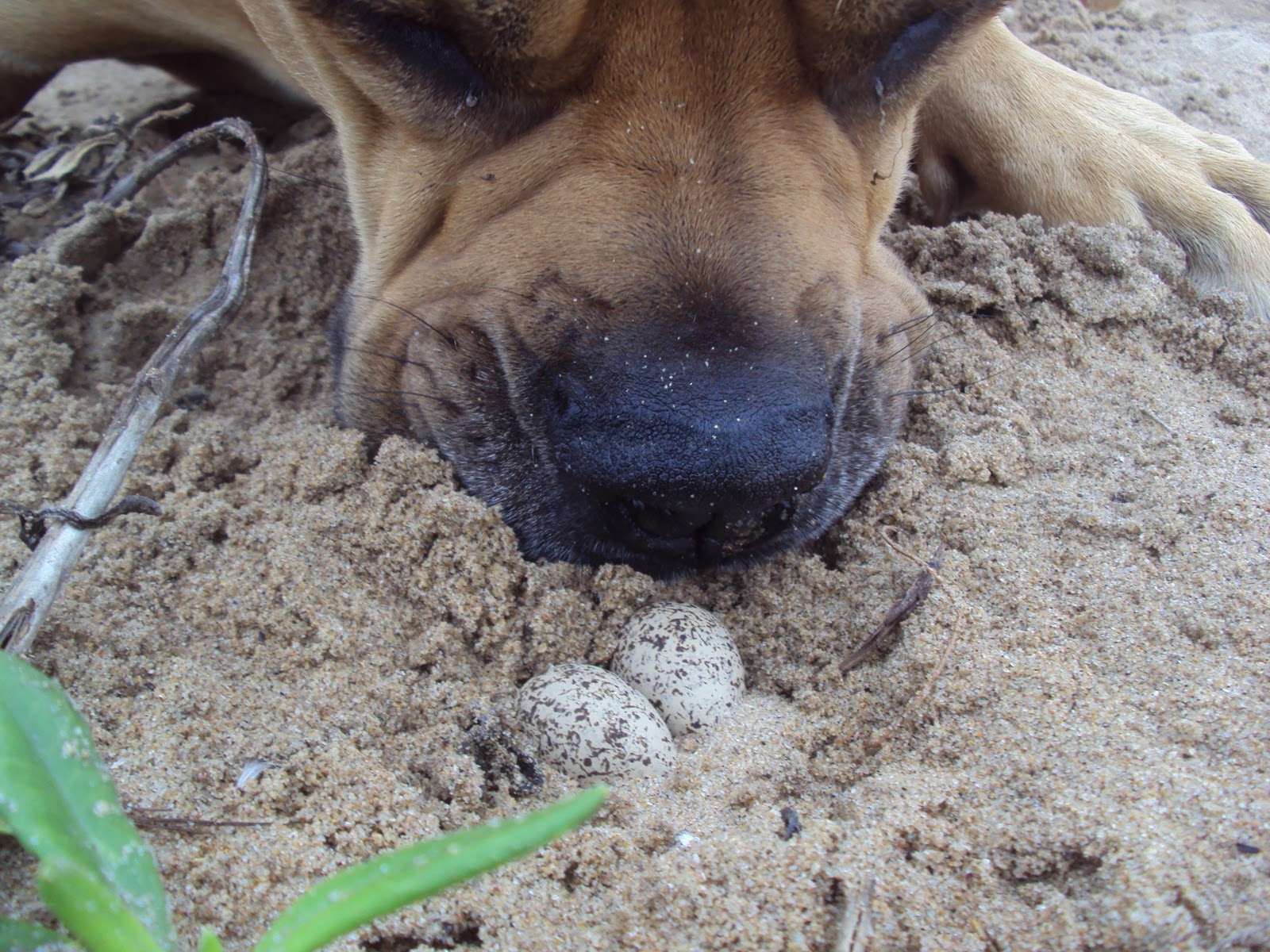 Read and Pray with Glenda Kemp-Harper: Treasures...