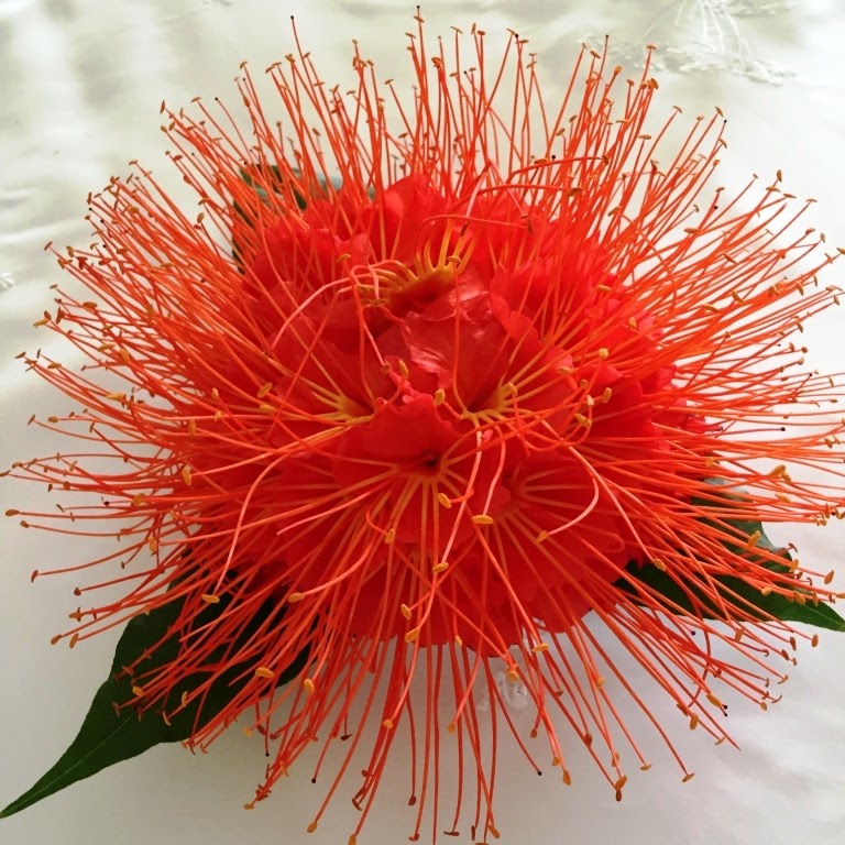 THIS and THAT: Rose of Venezuela