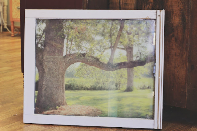 sassafras: featured items :: shop news