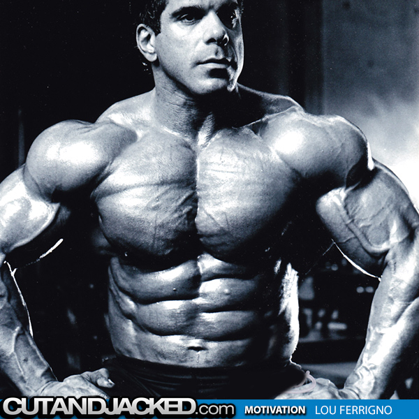 Muscle Wallpapers: Lou Ferrigno wallpaper